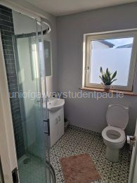 Accommodation Search