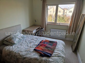 Accommodation Search