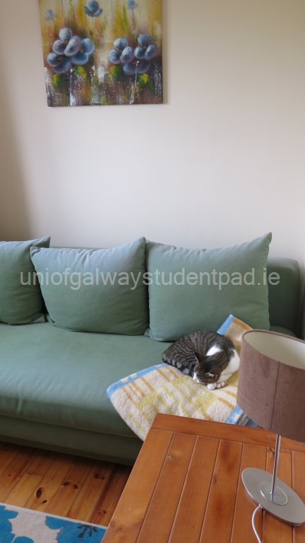 University of Galway - Studentpad
