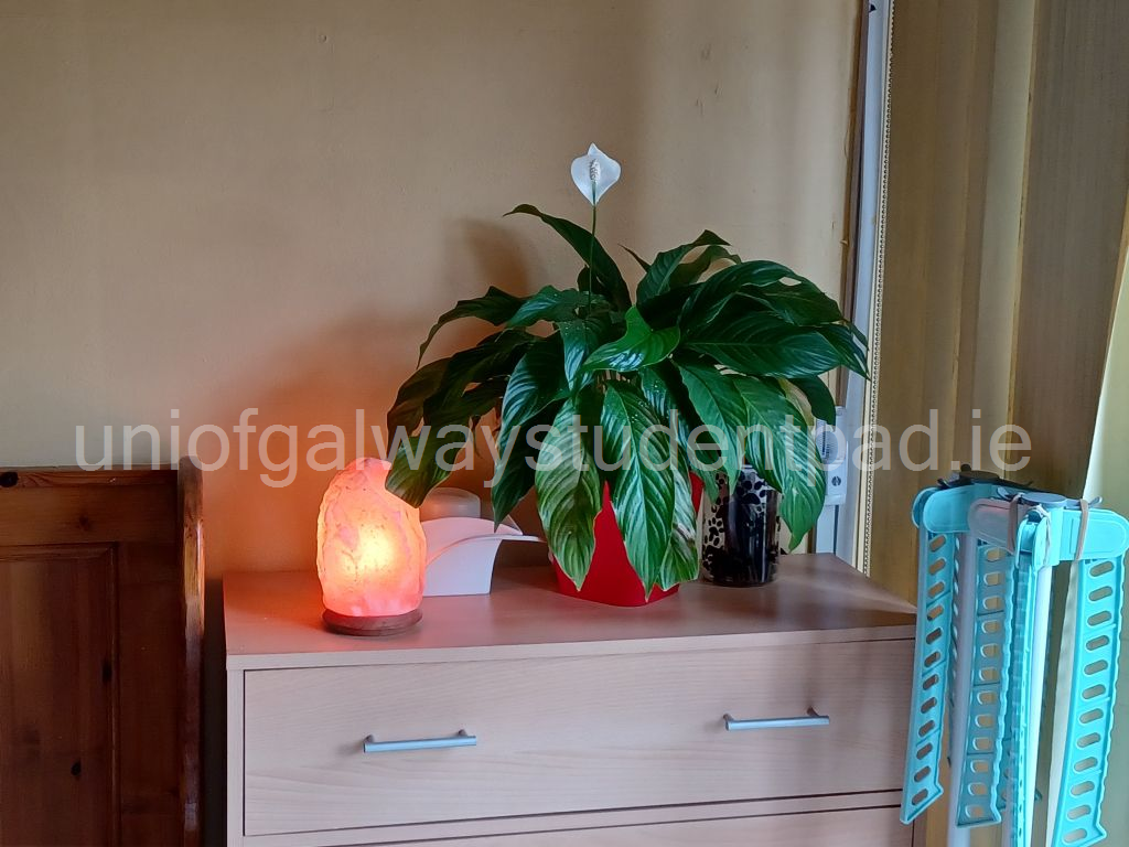 University of Galway - Studentpad