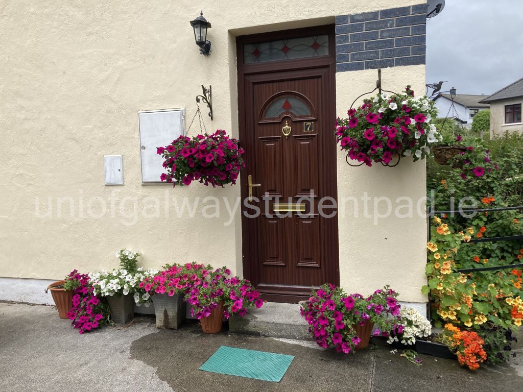 University of Galway - Studentpad