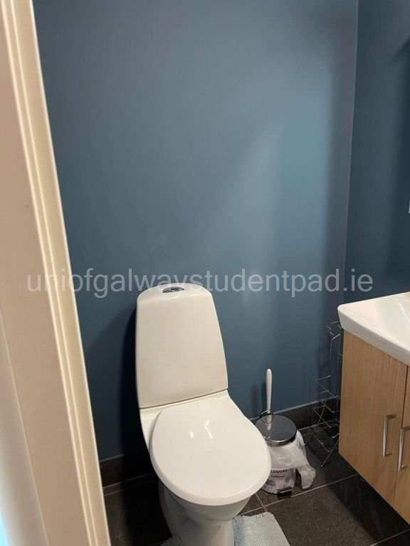 University of Galway - Studentpad
