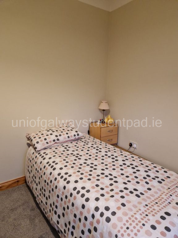 University of Galway - Studentpad