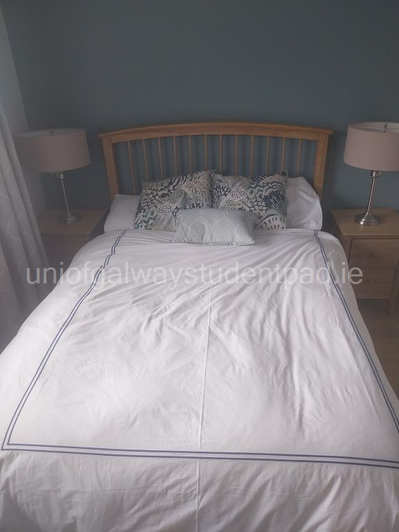 University of Galway - Studentpad