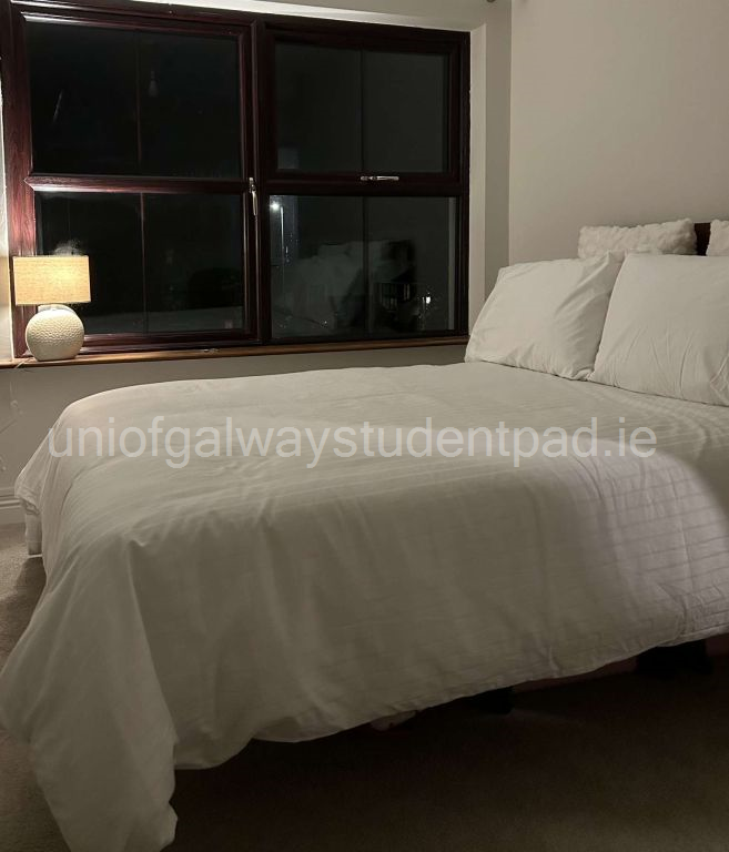 University of Galway - Studentpad