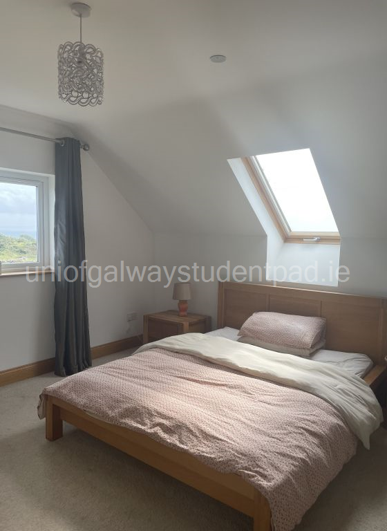 Accommodation Search