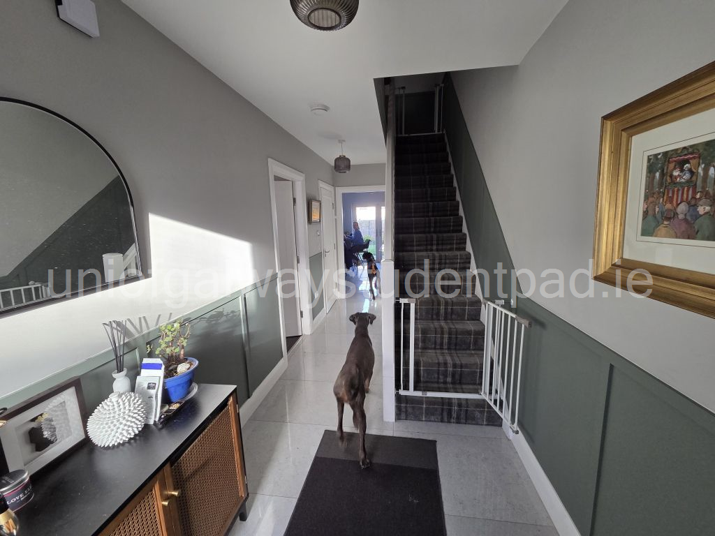 University of Galway - Studentpad